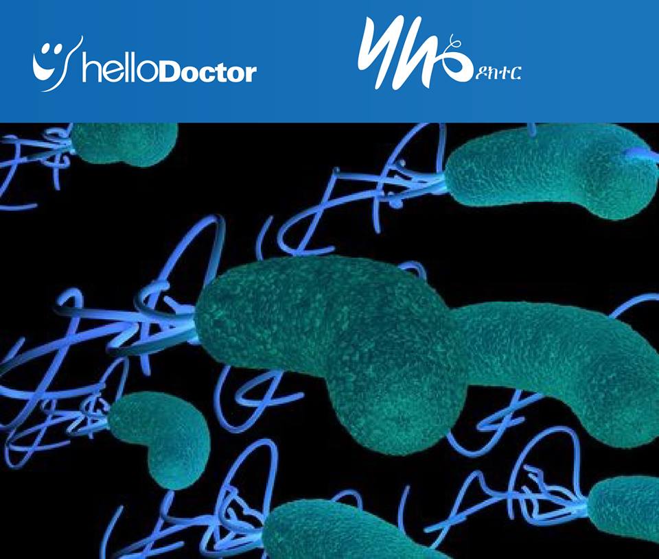 የጨጓራ ባክቴሪያ - helloDoctor